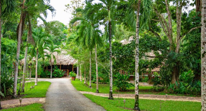 Ecotourism in Belize: The Ultimate Eco Travel Guide