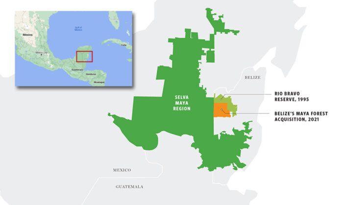 Belize Maya Forest Trust's Remarkable Achievements