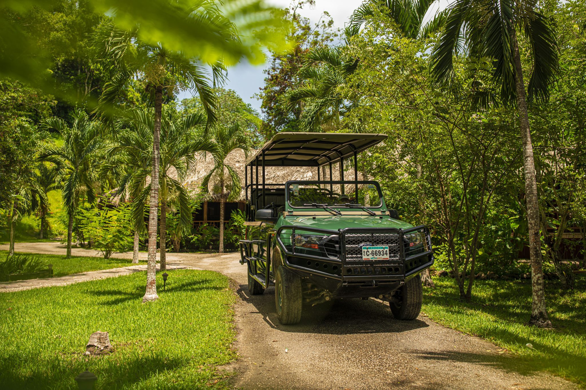 Spring Break in Belize: The Best Months for a Jungle Vacation