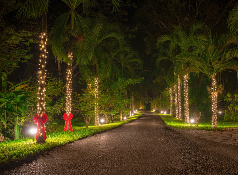 Christmas in the Belize Jungle: The Holidays at Chan Chich Lodge
