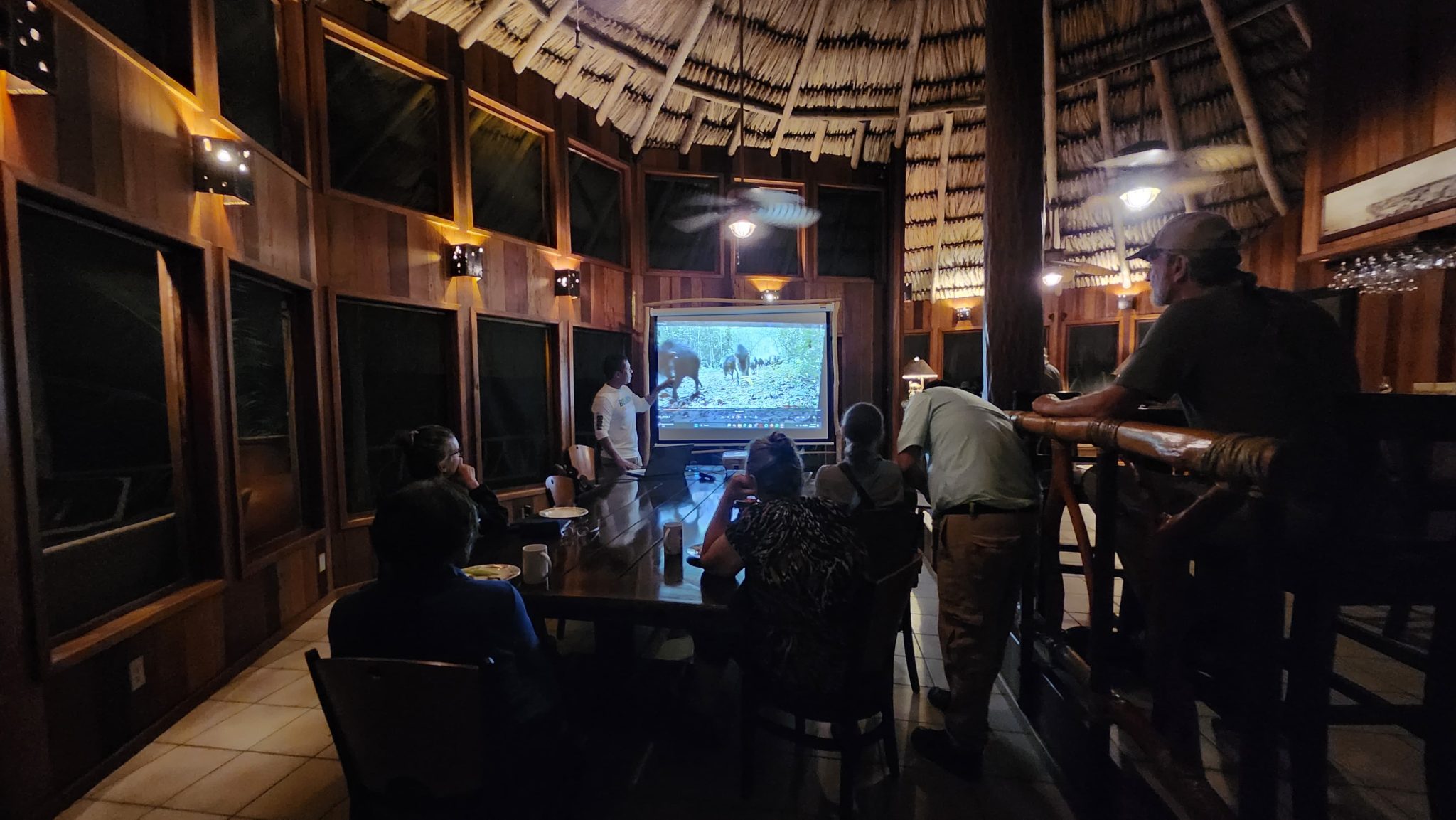 Trail Camera Viewings Belize for Wildlife Enthusiasts